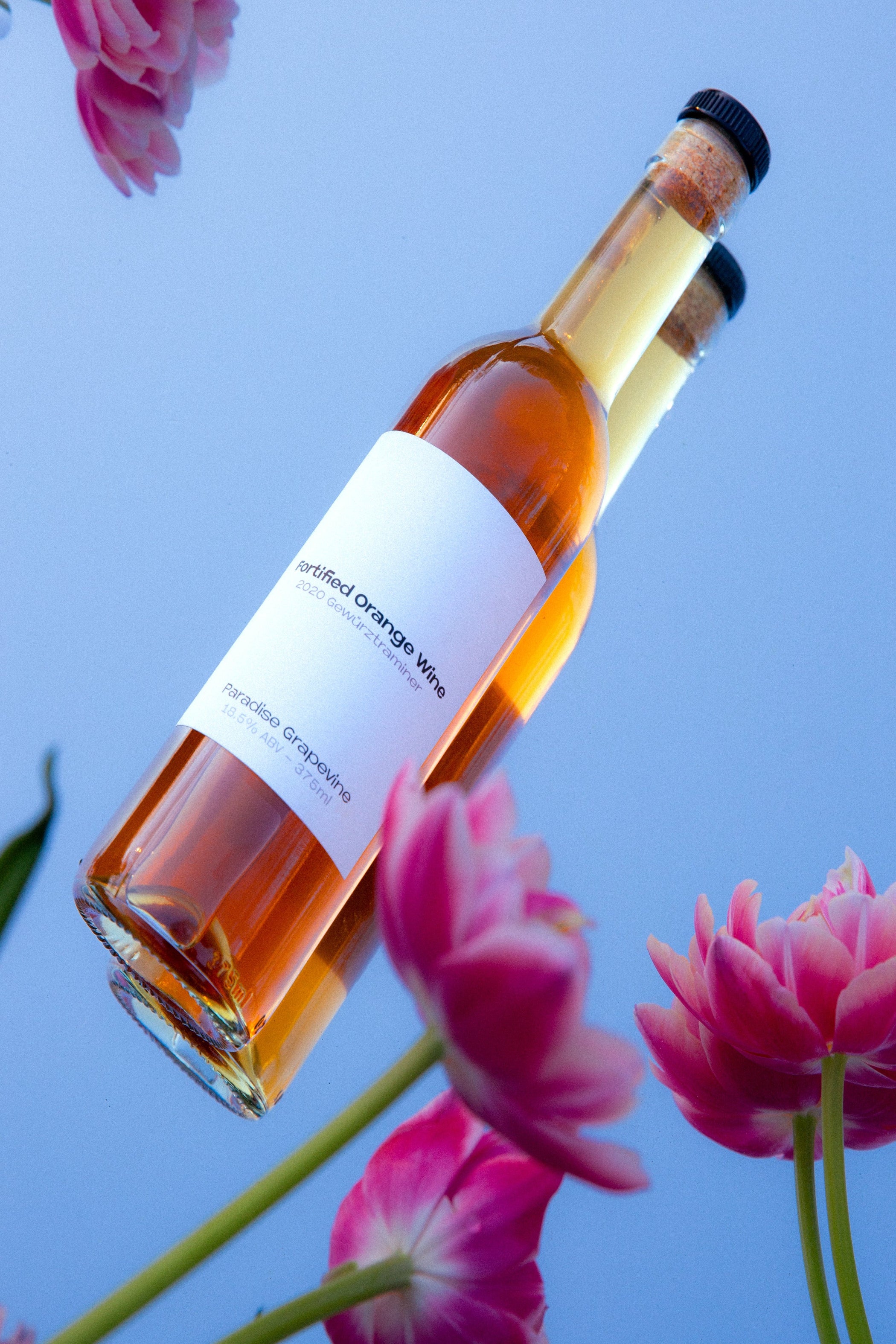 Paradise Grapevine Wine Shop