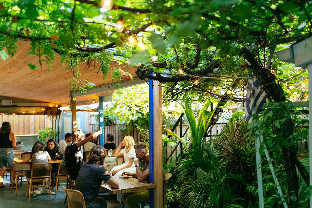 Paradise Grapevine Wine Bar 841 Bloor St W