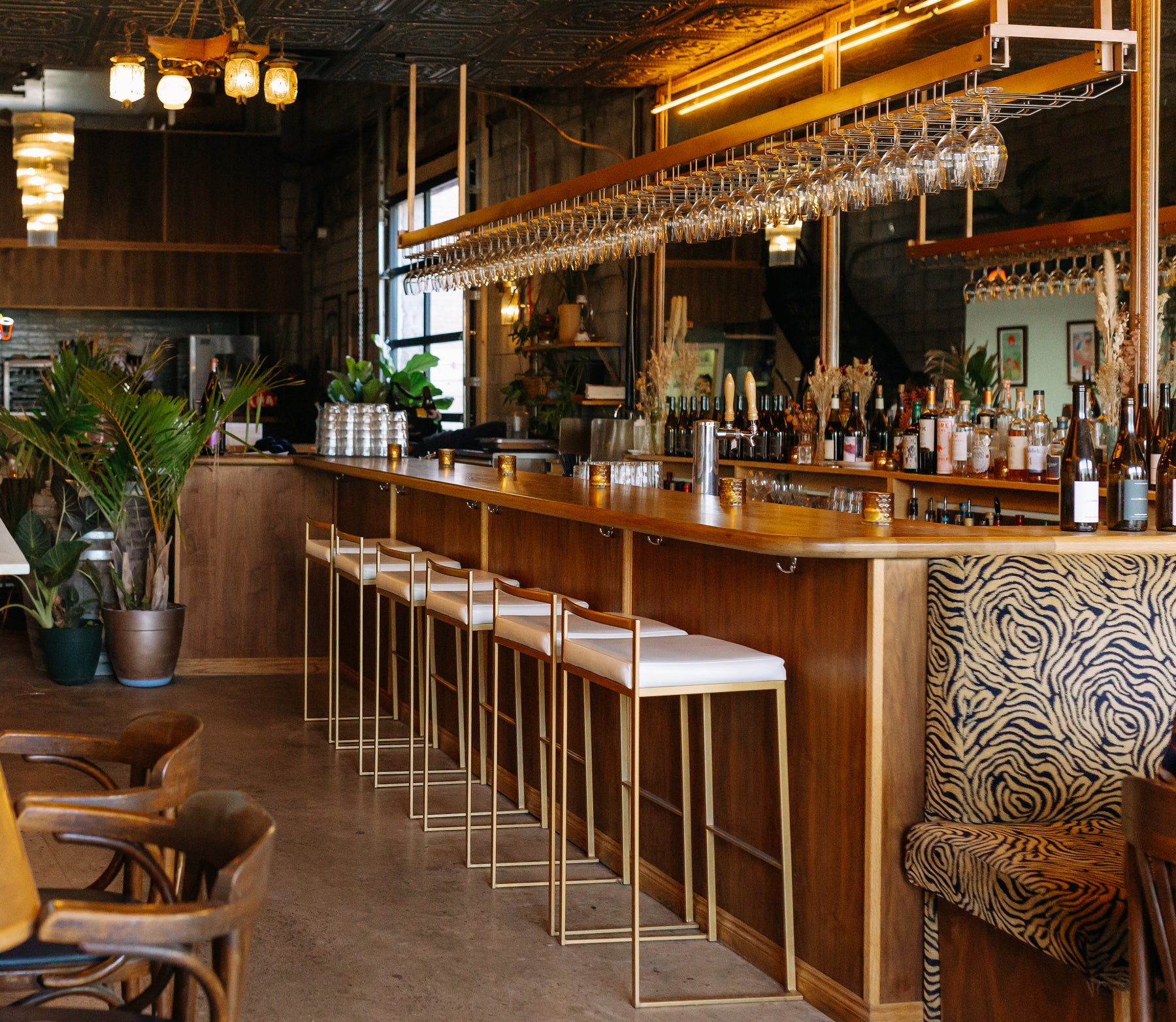 Paradise Grapevine Winery and Bar 218 Geary Avenue
